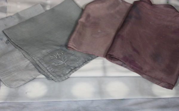 Dyeing with Blackberries - Lynda Heines Fabric Design